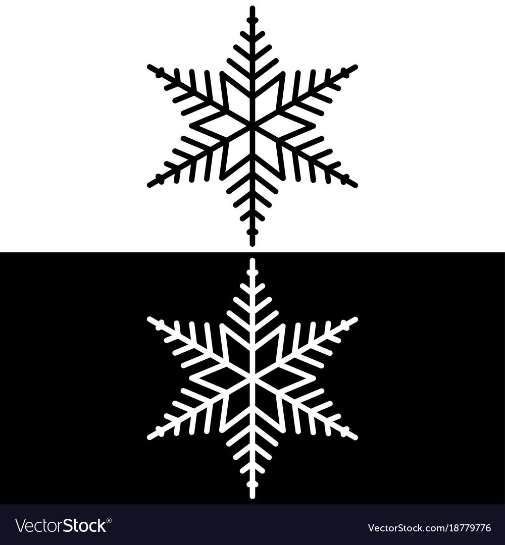 Black and white snowflakes Royalty Free Vector Image