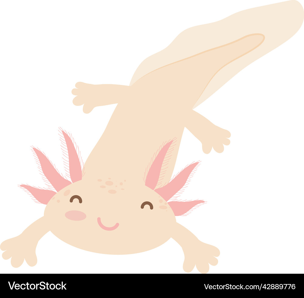 Cartoon pink axolotl Royalty Free Vector Image