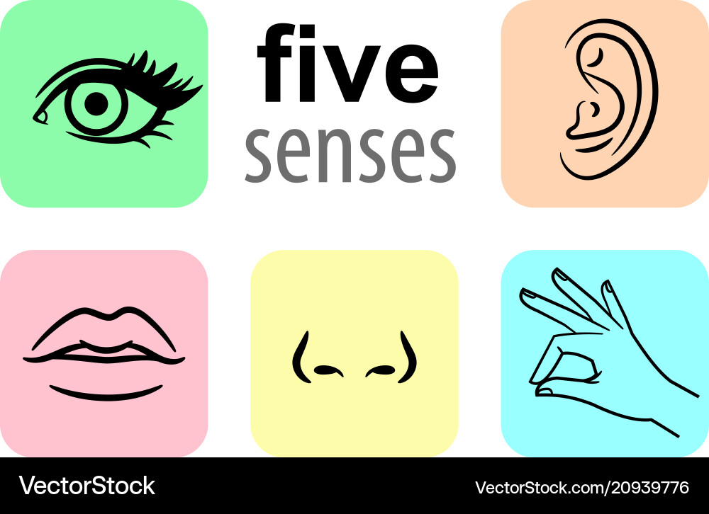 Senses icons five human senses Royalty Free Vector Image