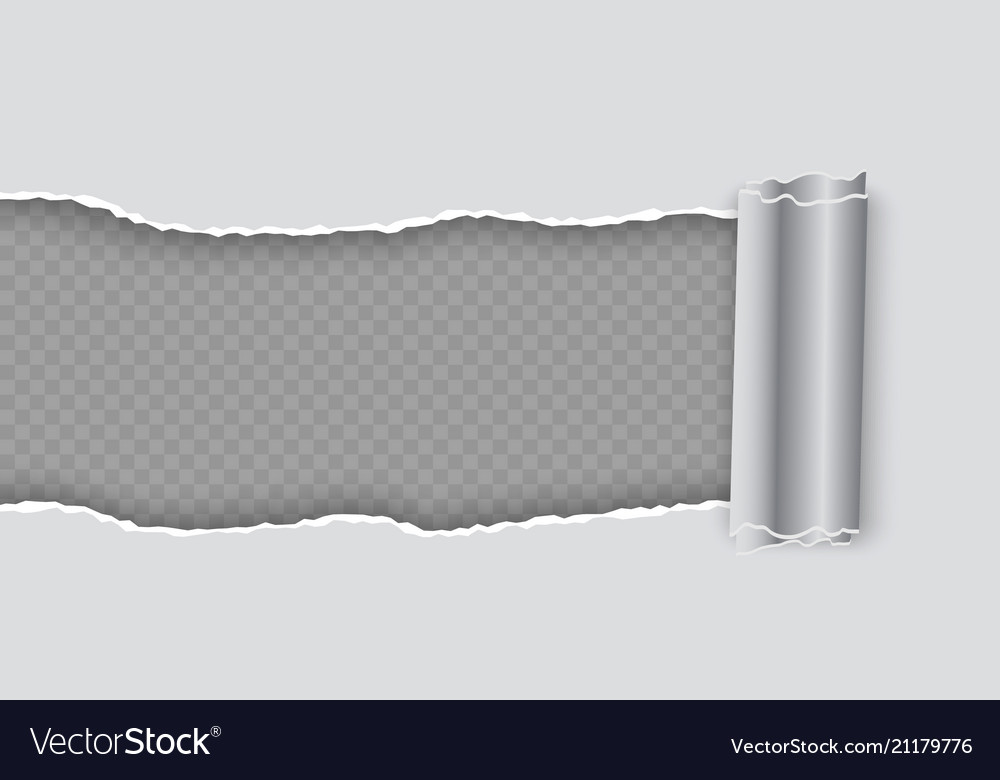 Torn paper Royalty Free Vector Image - VectorStock