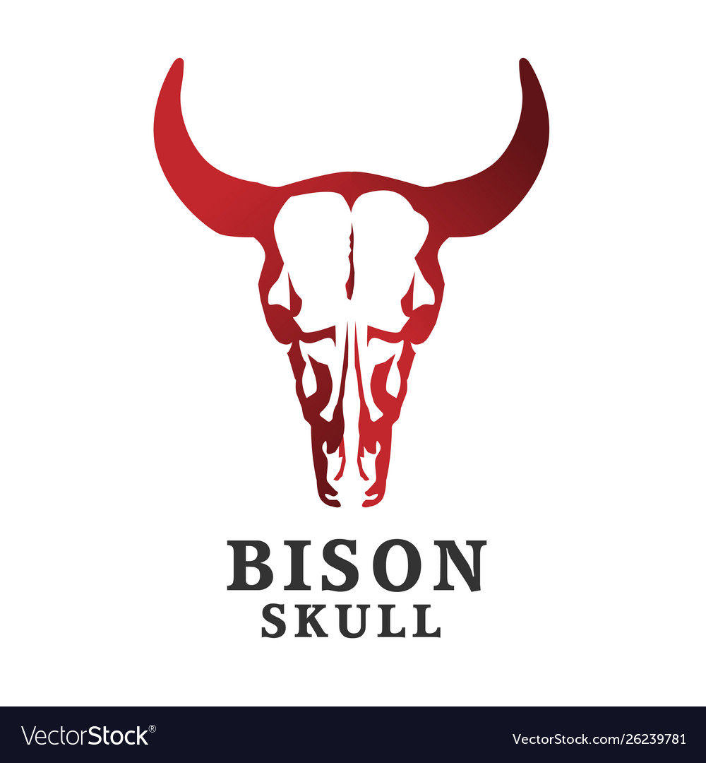Bison skull Royalty Free Vector Image - VectorStock