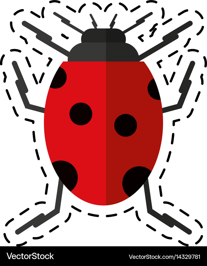 Cartoon ladybug insect nature icon Royalty Free Vector Image