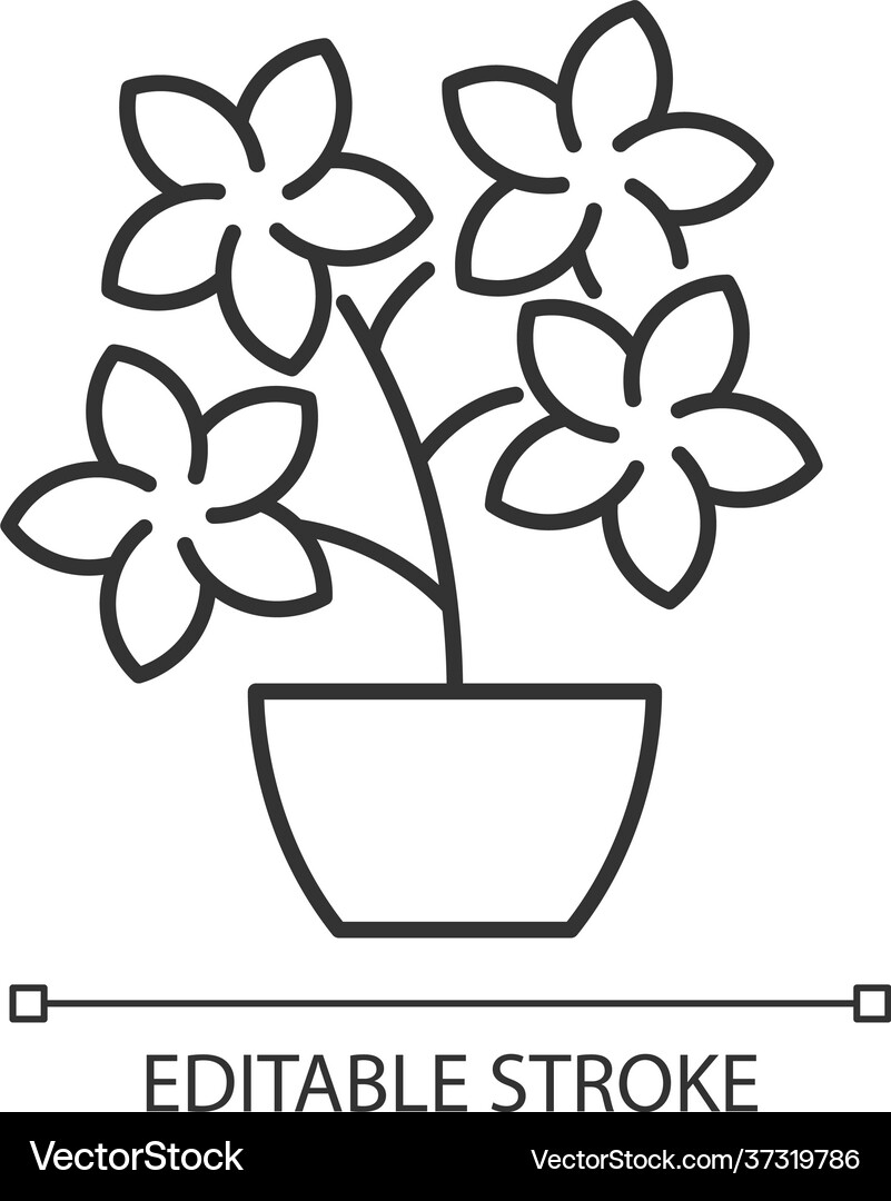 Flowering tree shrubs linear icon Royalty Free Vector Image