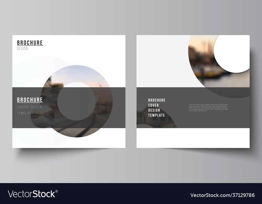 Layout two square format covers Royalty Free Vector Image