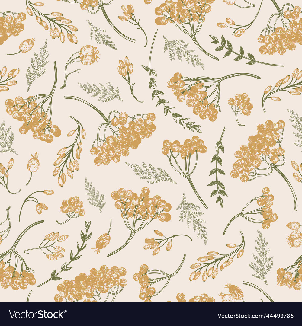 Seamless pattern with autumn berries Royalty Free Vector