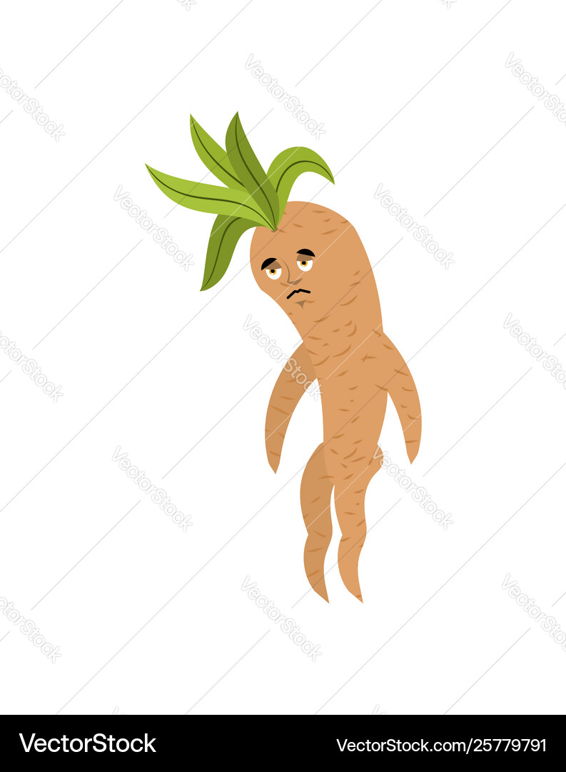 Mandrake root sad sorrowful legendary mystical Vector Image