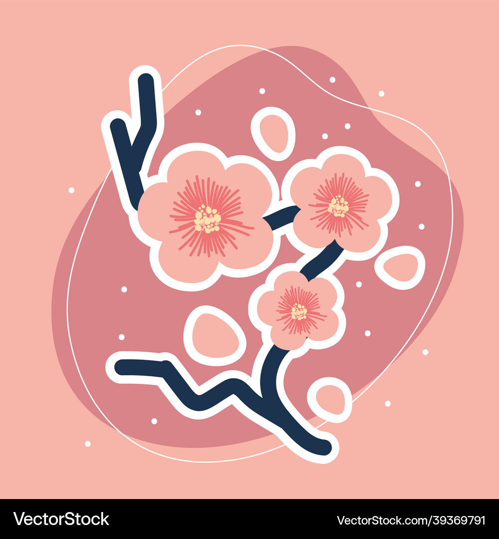 Sakura flower and branch Royalty Free Vector Image