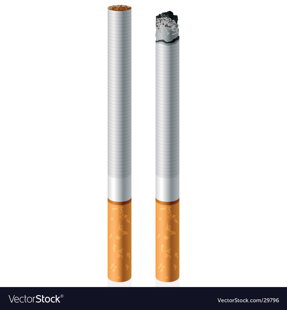 Cigarette Royalty Free Vector Image - VectorStock