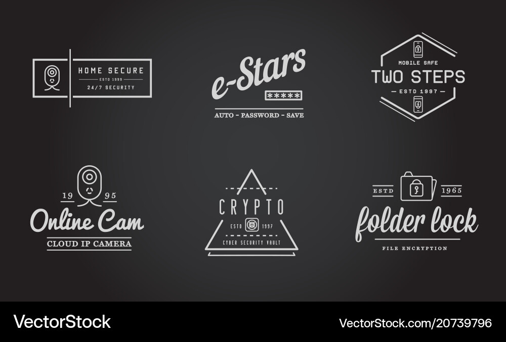 Set cyber security identity badges and signs can Vector Image
