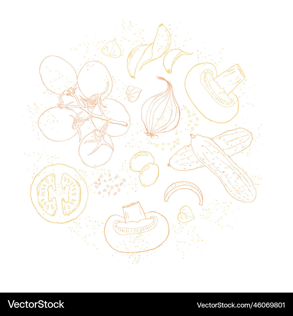 Vegetable line art neutral color sketch circle Vector Image