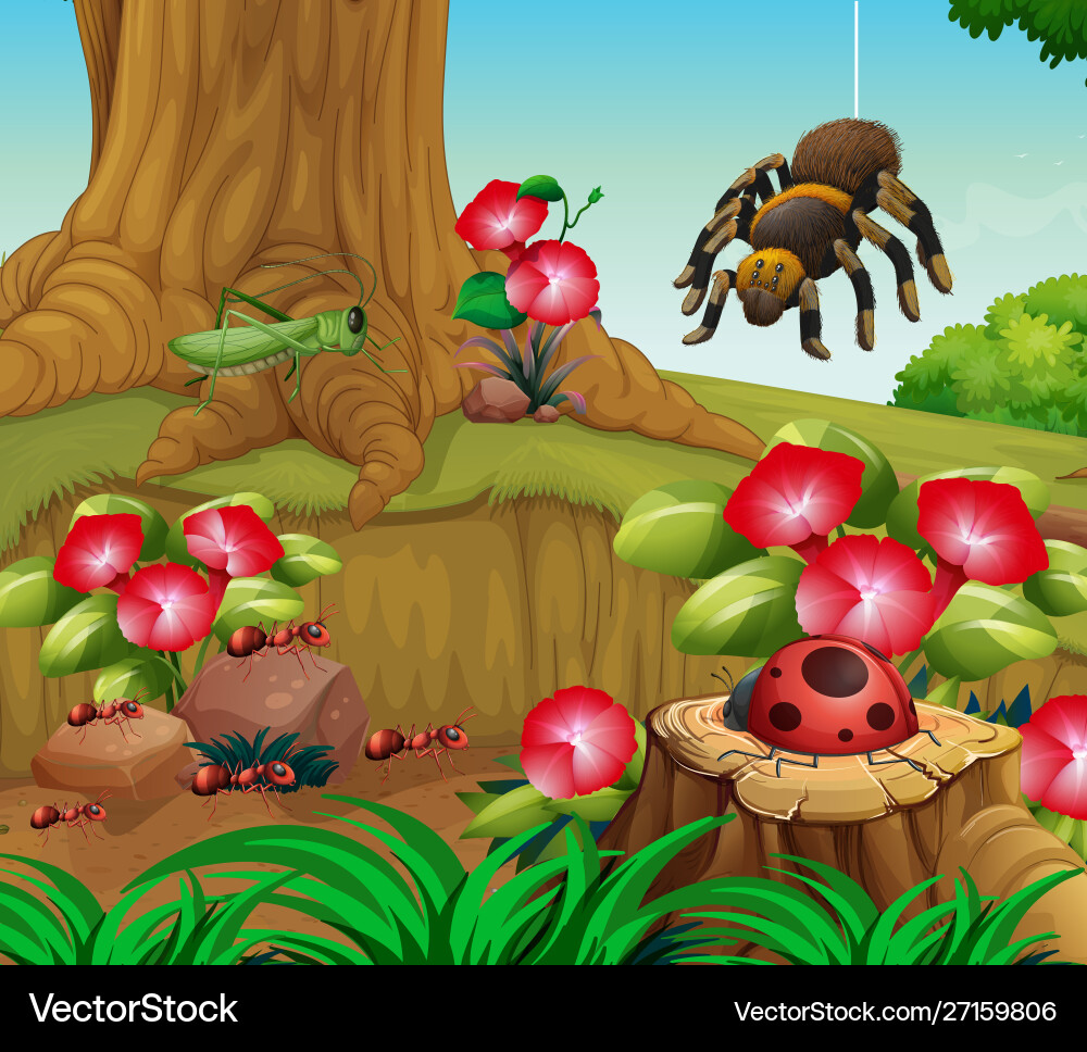 Background scene with insects in garden Royalty Free Vector