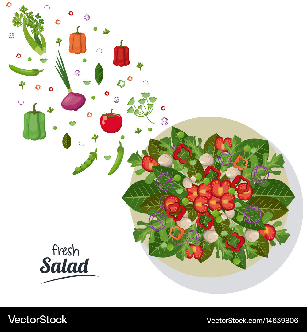 Fresh salad food ingredient dinner image Vector Image