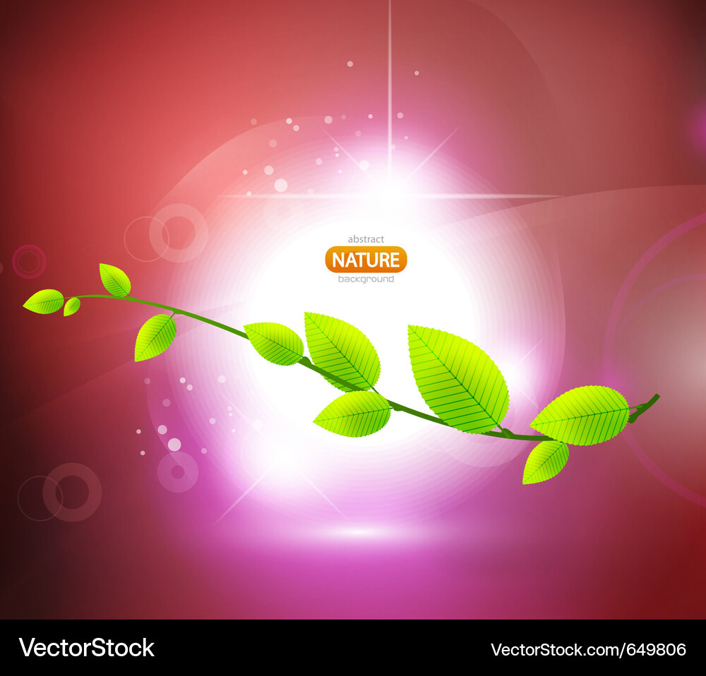 Nature shiny background leaves Royalty Free Vector Image