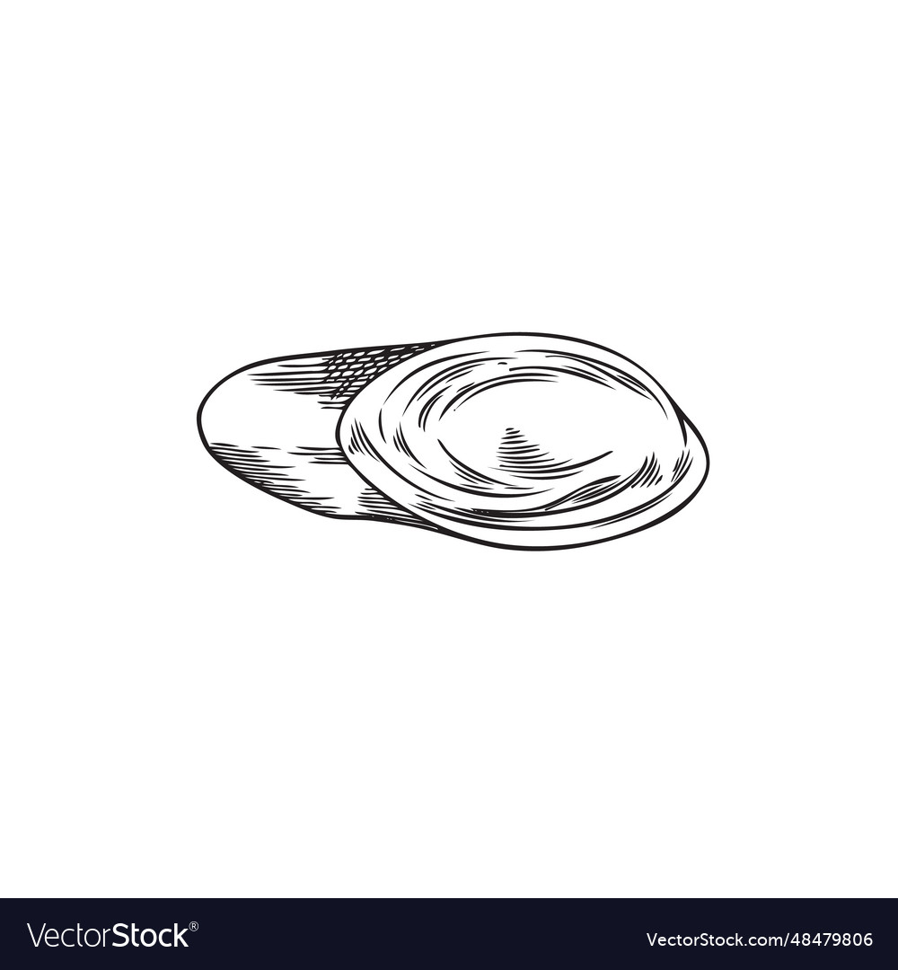 Piece Of Chopped Lemongrass Plant Monochrome Vector Image