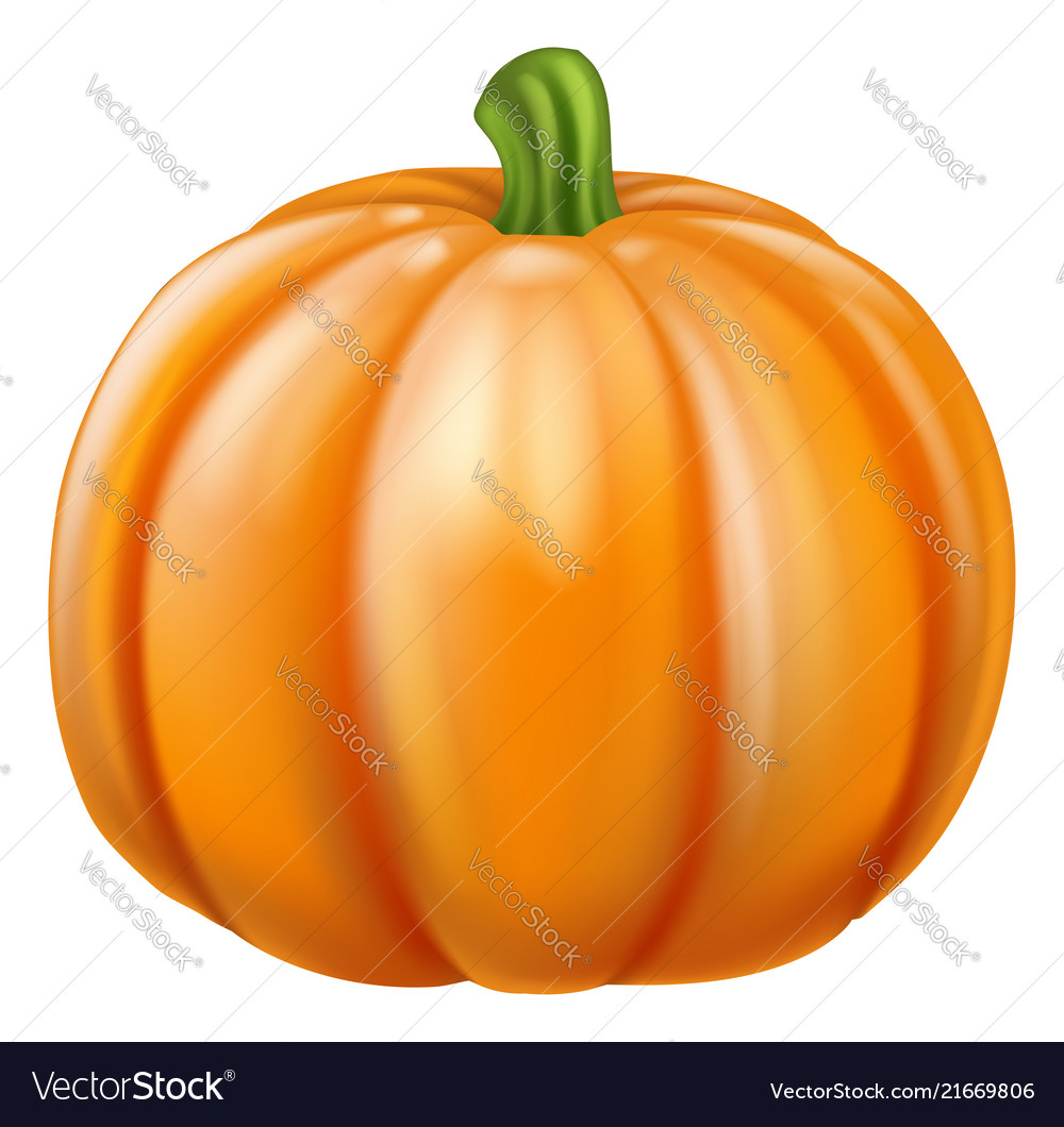 Pumpkin Royalty Free Vector Image - VectorStock
