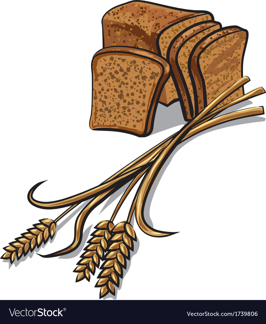Rye bread Royalty Free Vector Image - VectorStock