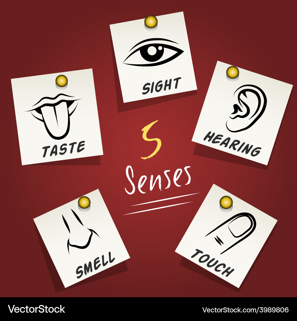 Set of senses icons on sticky notes Royalty Free Vector