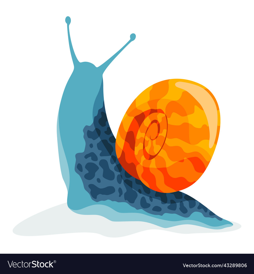 Snail crawling snailfish colour shell colourful Vector Image Snail crawling snailfish colour shell colourful Vector Image
