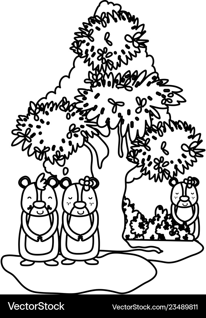 Outline bears wild animals with bushes and tree Vector Image
