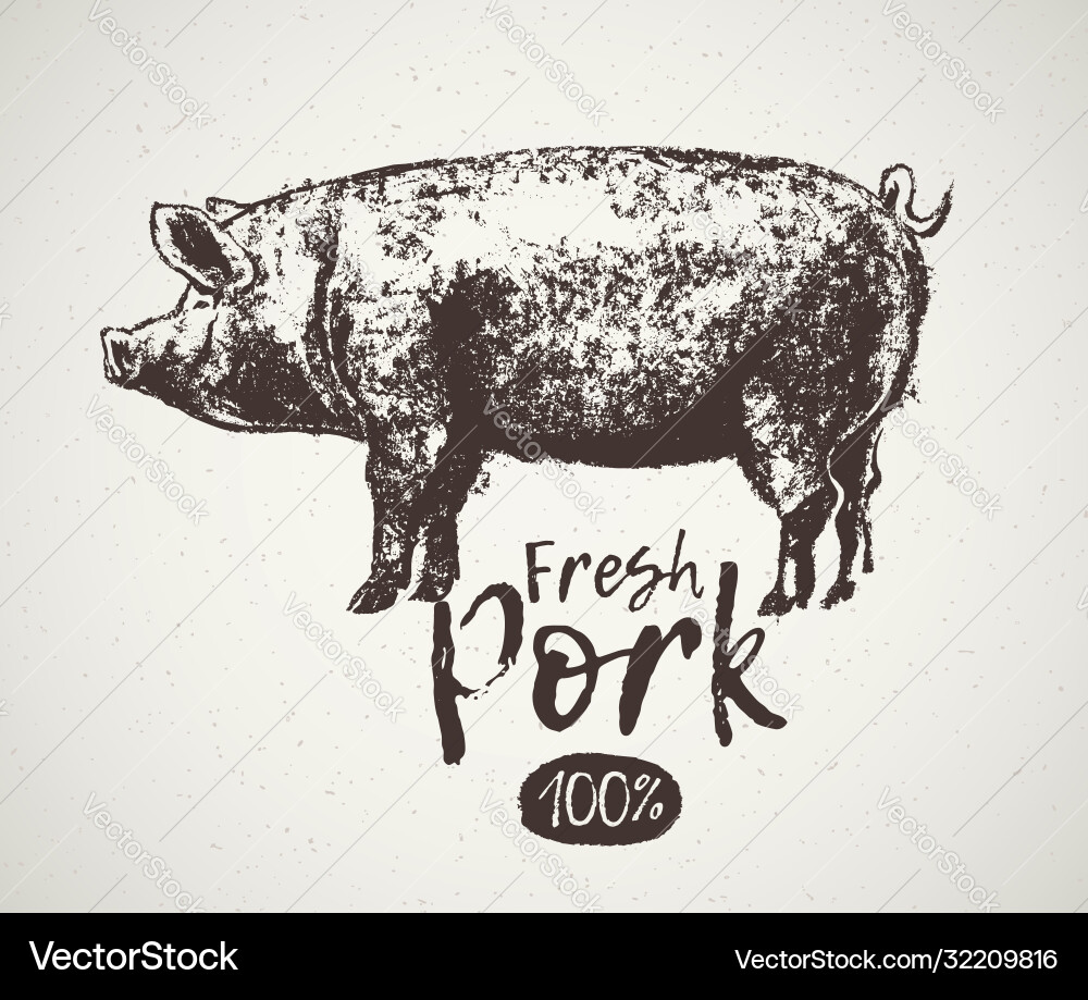 Graphical pig and inscription hand drawing Vector Image