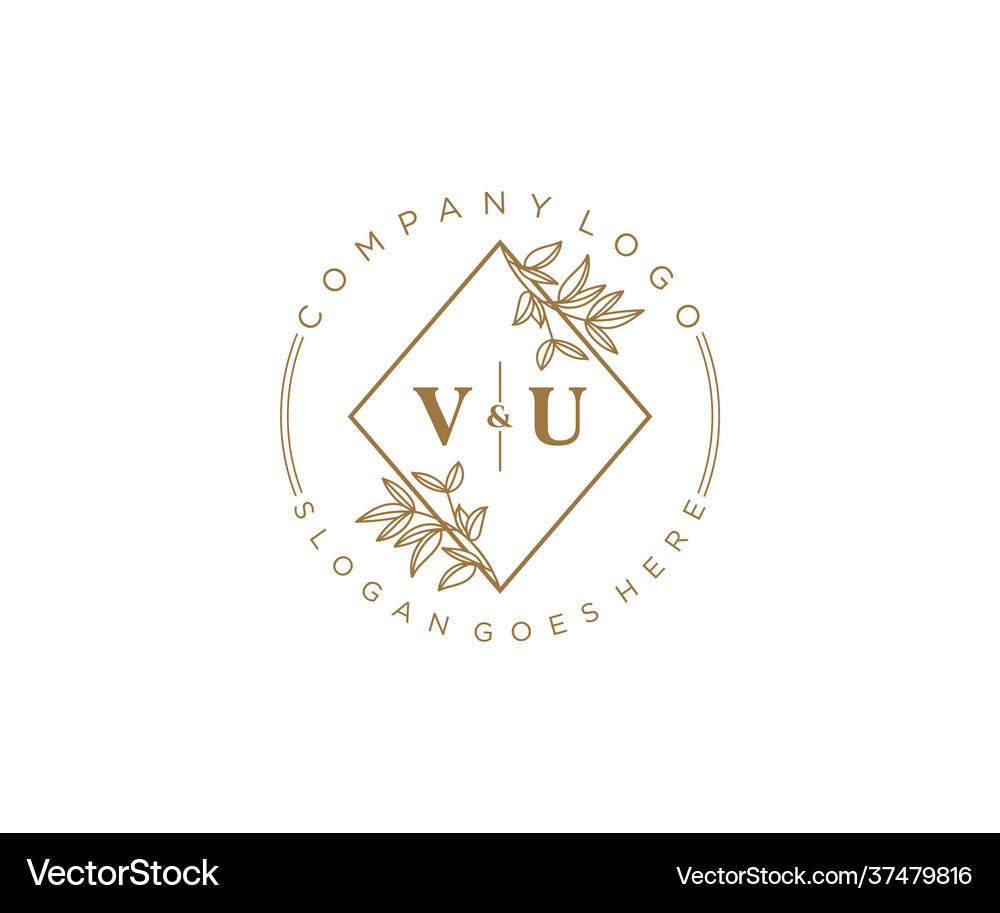 Initial vu letters beautiful floral feminine Vector Image