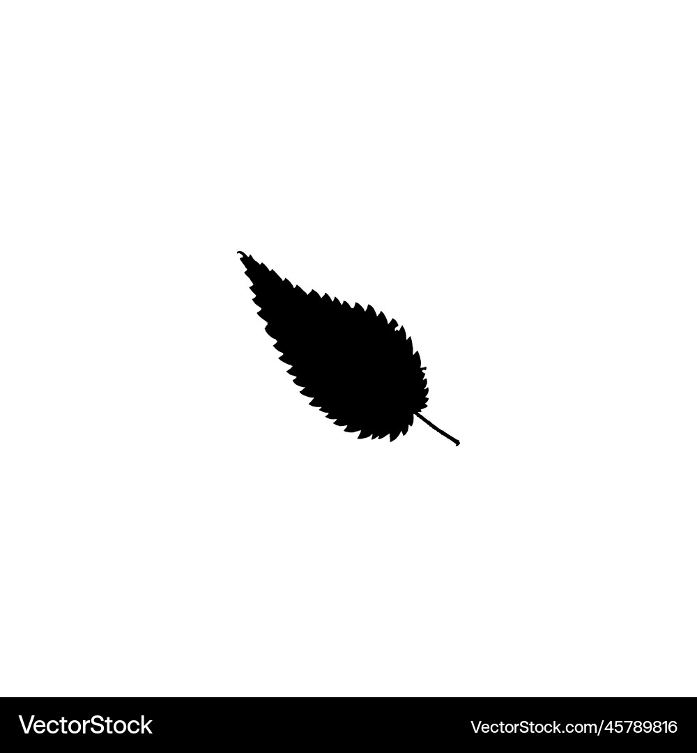 Nettle leaf icon simple style herbal shop big Vector Image