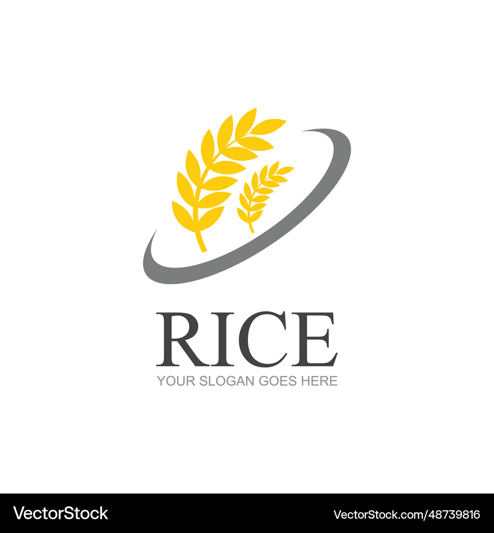 Rice or wheat grain agriculture logo design Vector Image
