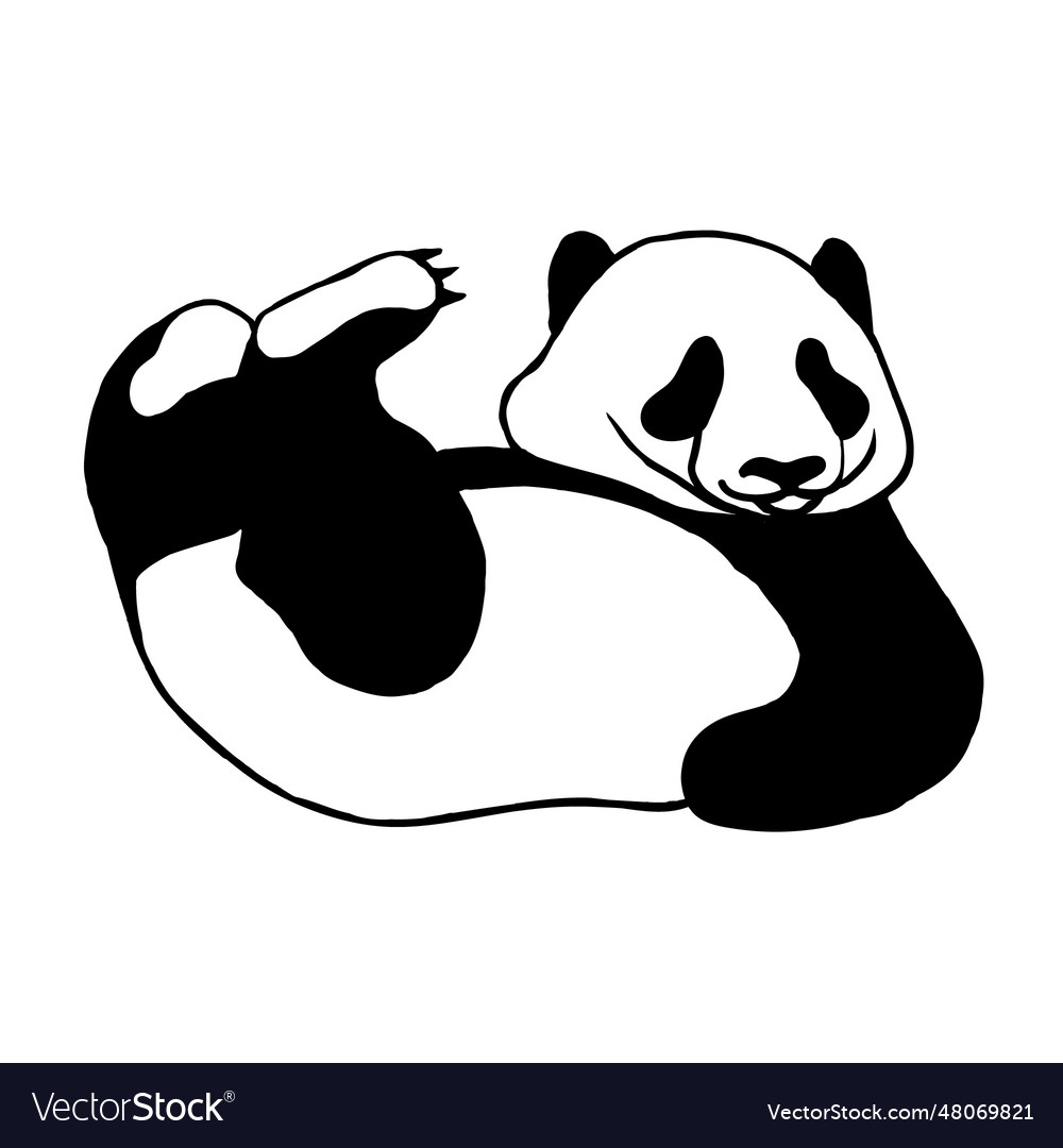 Panda bear is lying on its back Royalty Free Vector Image
