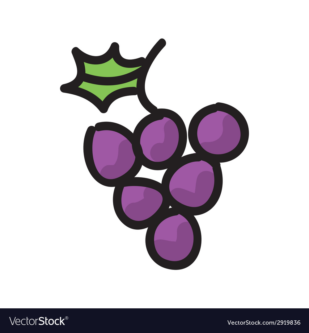 Grape Royalty Free Vector Image - VectorStock