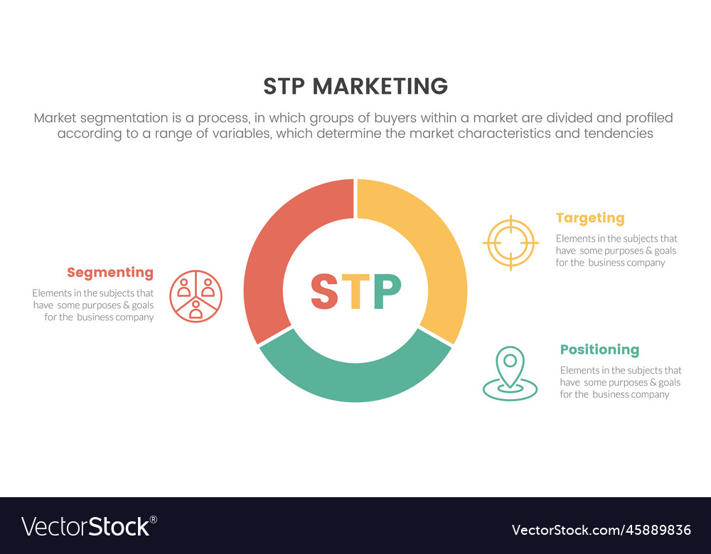 Stp marketing strategy model for segmentation Vector Image Stp marketing strategy model for segmentation Vector Image
