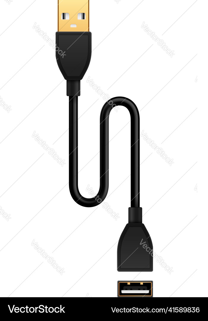 Usb extension cord composition Royalty Free Vector Image