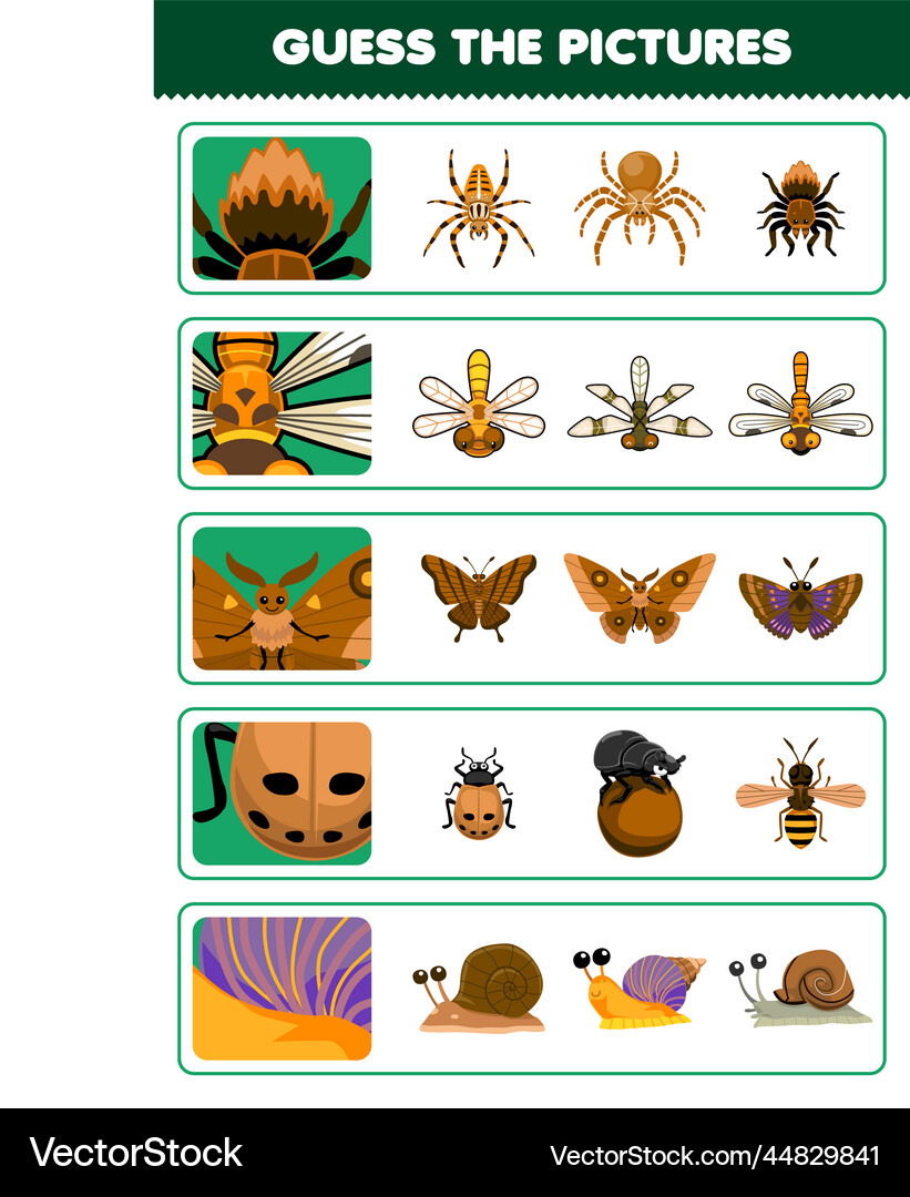 Education game for children guess the correct Vector Image