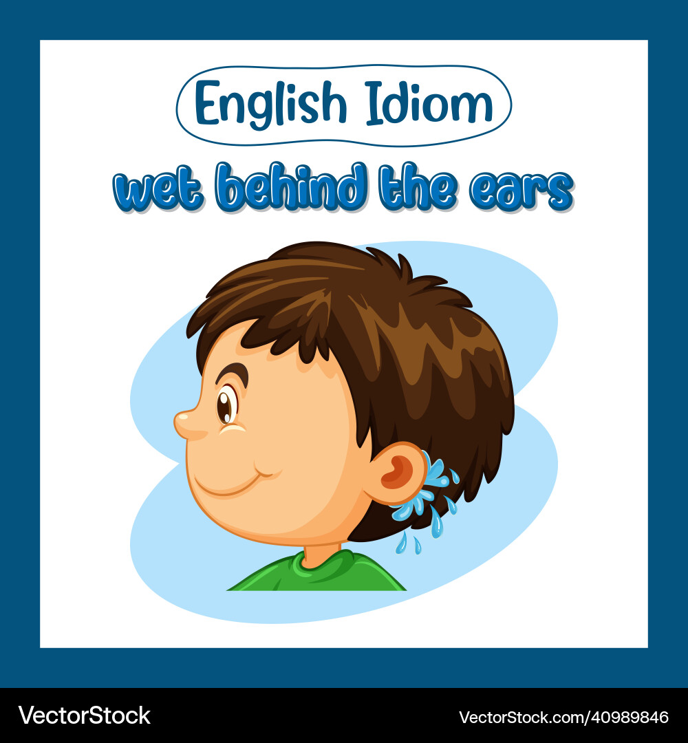 English idiom with picture description for wet Vector Image