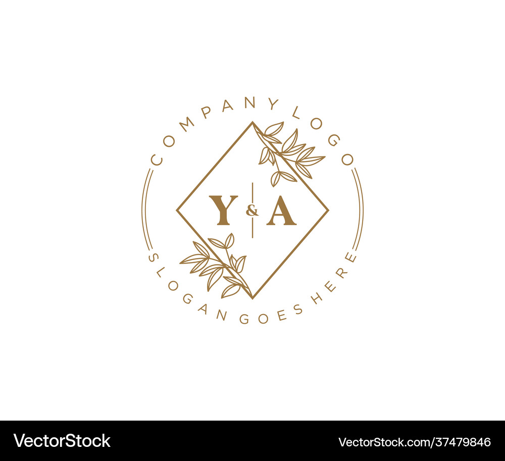 Initial ya letters beautiful floral feminine Vector Image