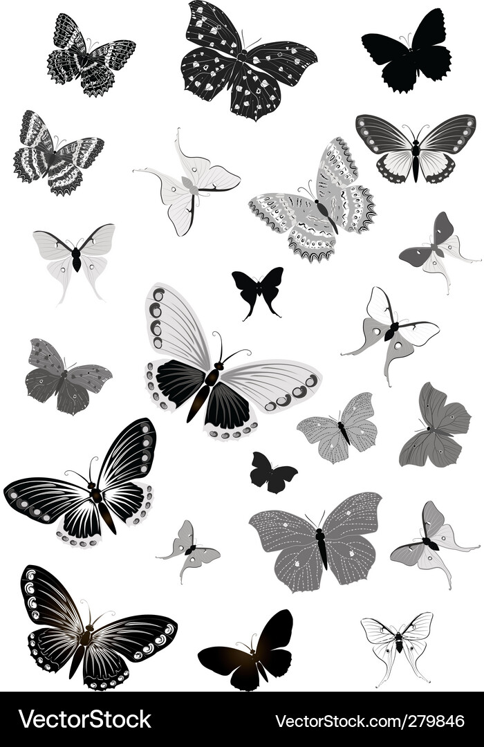 Set of black butterflies Royalty Free Vector Image