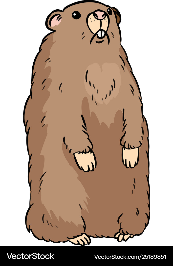 Groundhog cute cartoon image isolated on white Vector Image