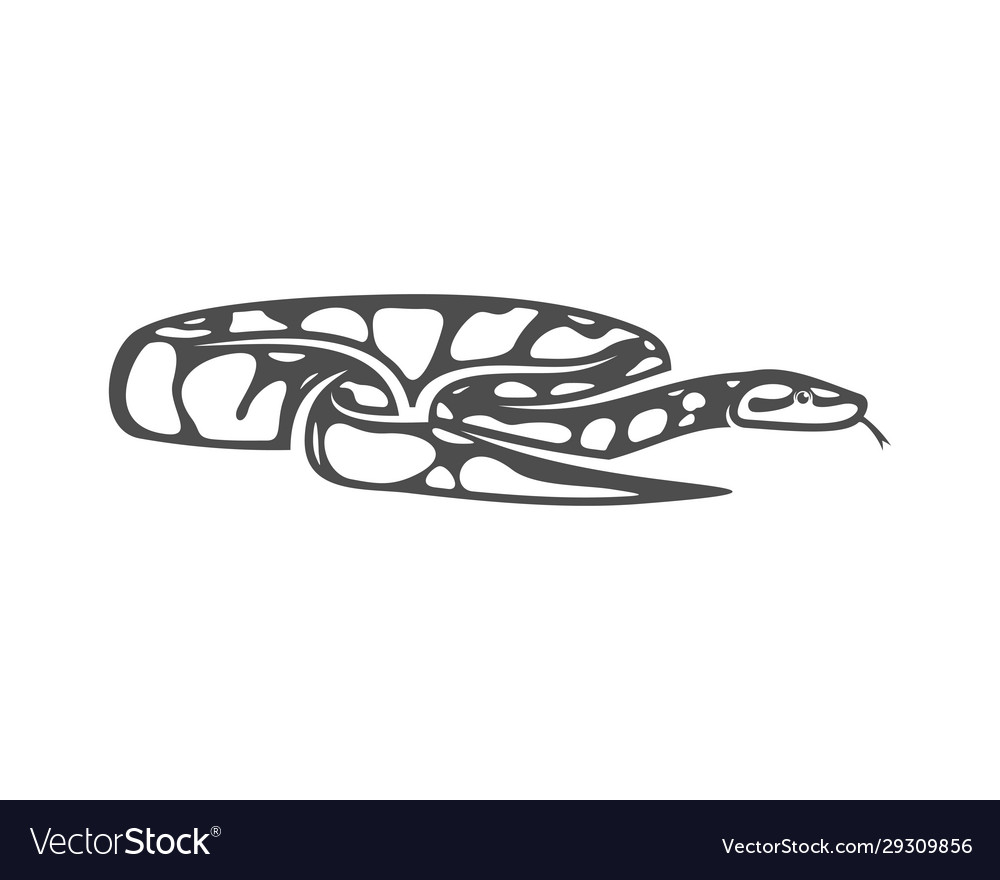 Python Snake Logo Animal Graphic Design Royalty Free Vector