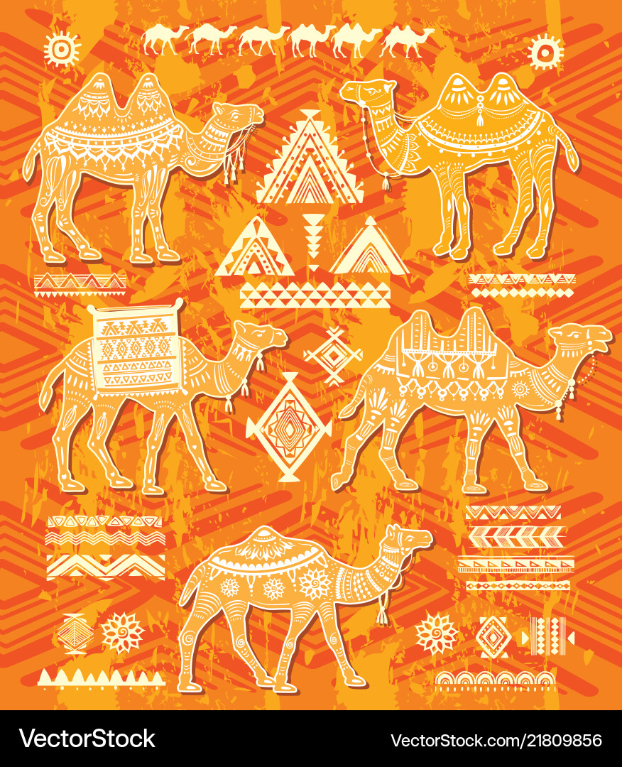 Set of stylized figures of decorative camels Vector Image