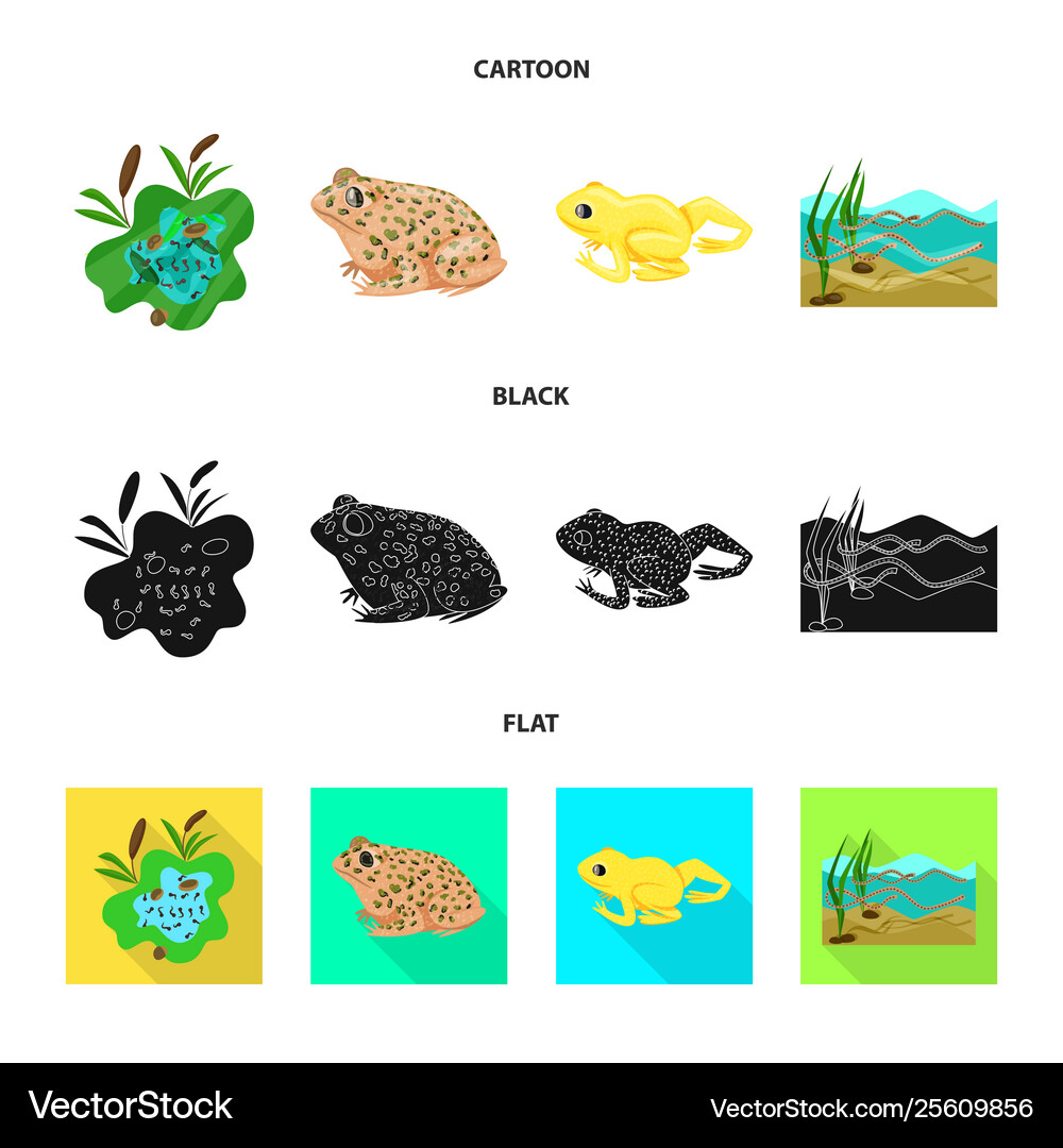 Wildlife and bog logo Royalty Free Vector Image