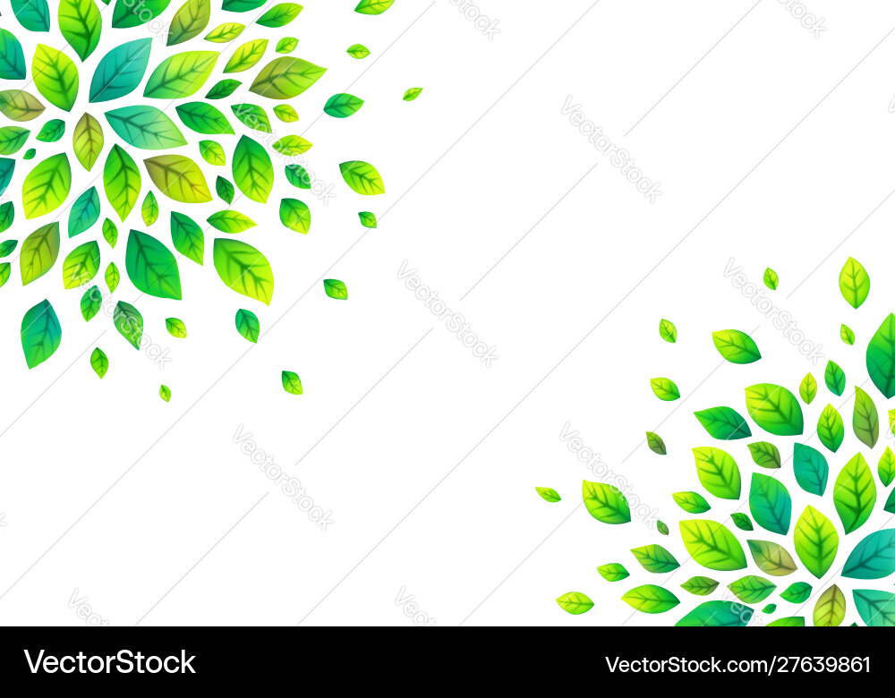 Green summer leaves poster background Royalty Free Vector