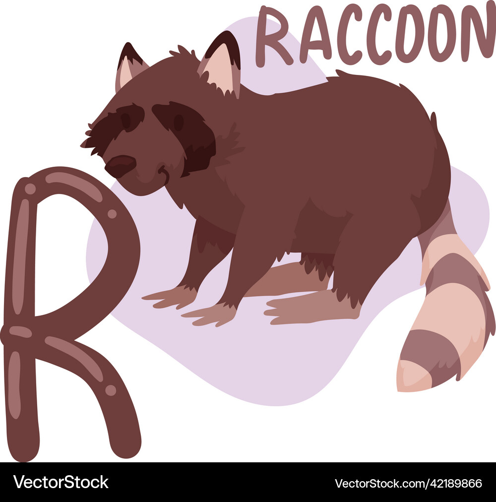 Raccoon and r letter Royalty Free Vector Image