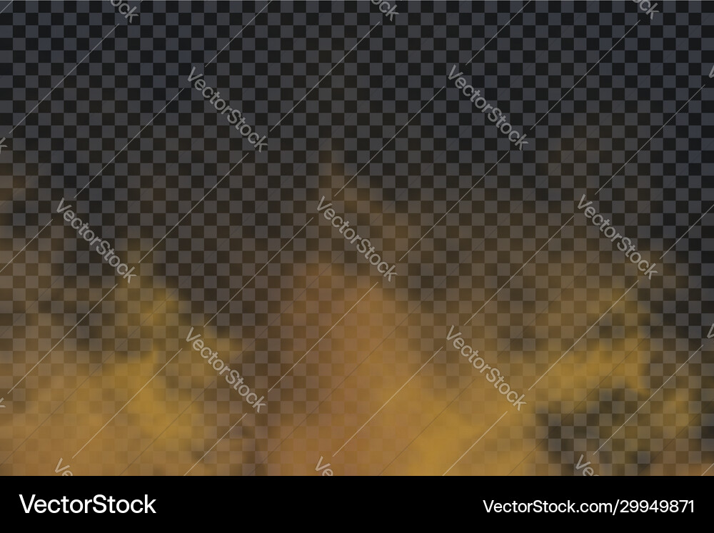 Dust sand cloud on a dusty road from car Vector Image