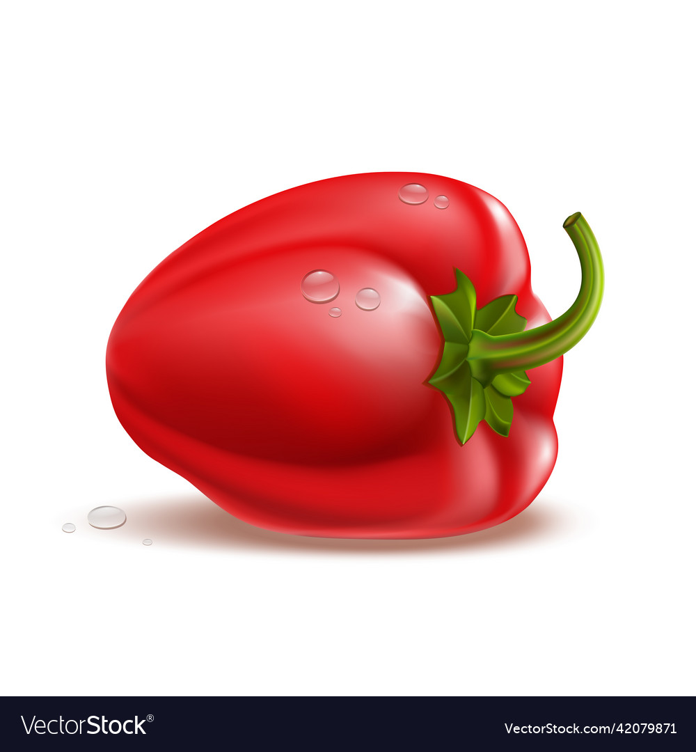 Pepper Royalty Free Vector Image - VectorStock
