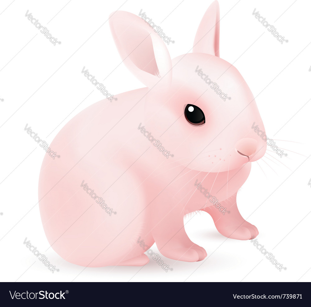 Pink easter bunny Royalty Free Vector Image - VectorStock