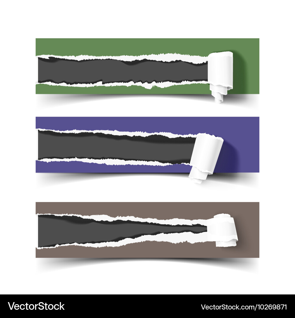 Set of three torn paper banners with rolls Vector Image