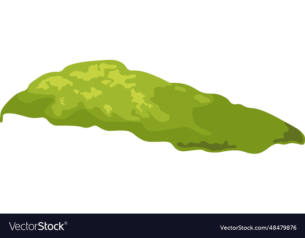 Grass moss Royalty Free Vector Image - VectorStock