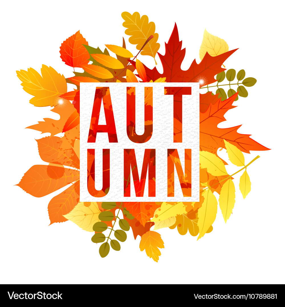 Autumn banner for your design Royalty Free Vector Image