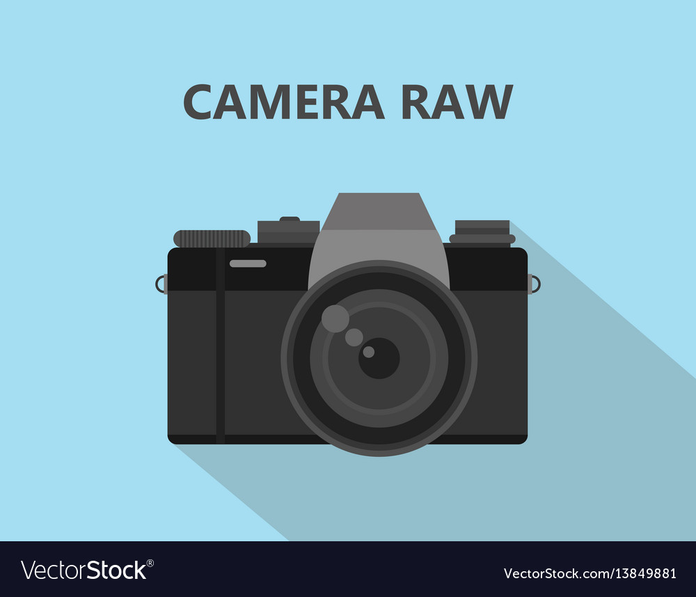 Camera raw format file with camera Royalty Free Vector Image