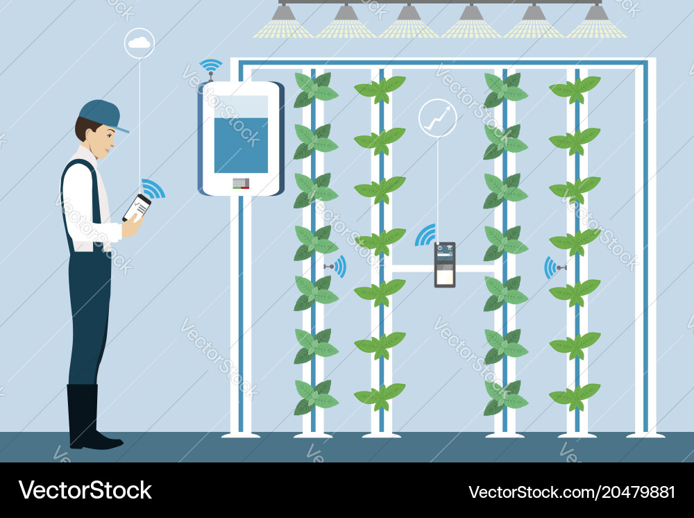 Growing plants on the field Royalty Free Vector Image