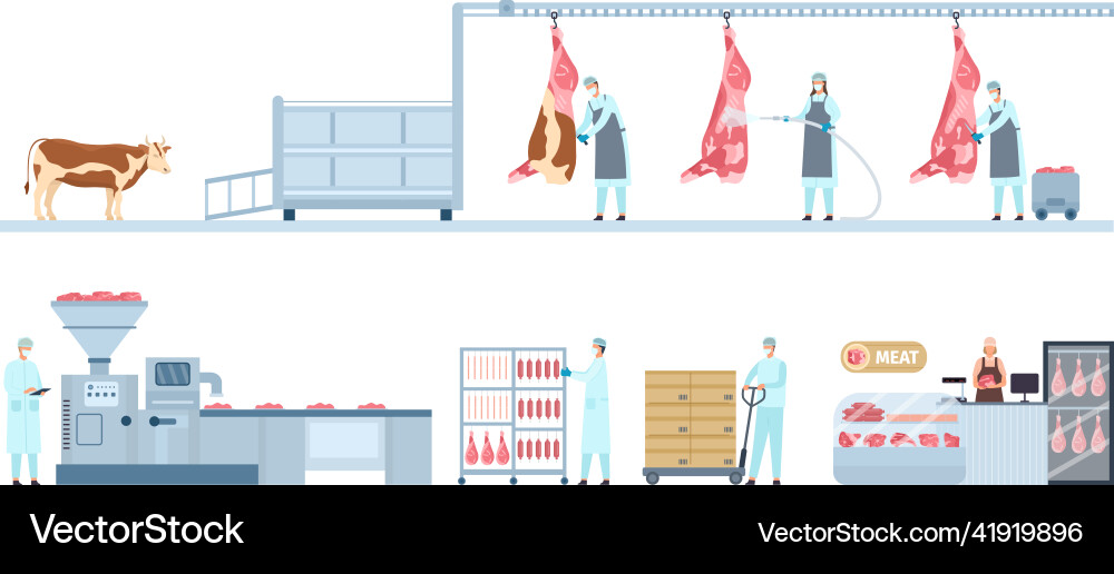 Beef product manufacture process infographic from Vector Image